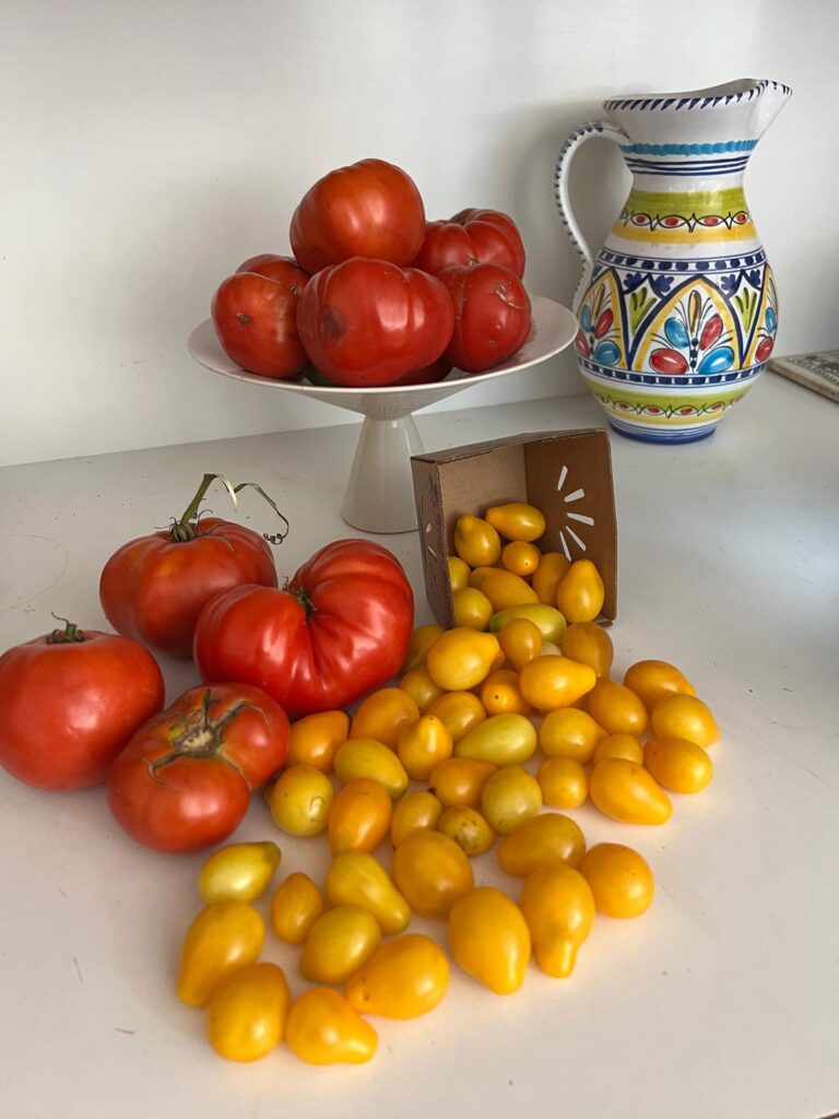 Ashtanga Yoga with Kathy Cooper – Practicing since 1976